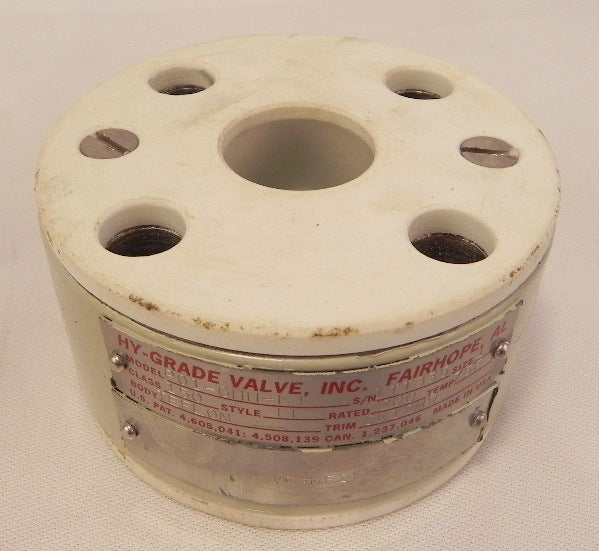 Hy-Grade PTFE Teflon Check Valve 1" P01-GHH-F4 For Corrosive Applicati ...